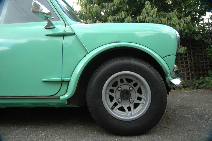 Peppermint Mini: Peppermint Mini