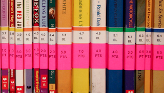 The Best of Teacher Entrepreneurs: "Accelerated Reader Color-Coded AND ...