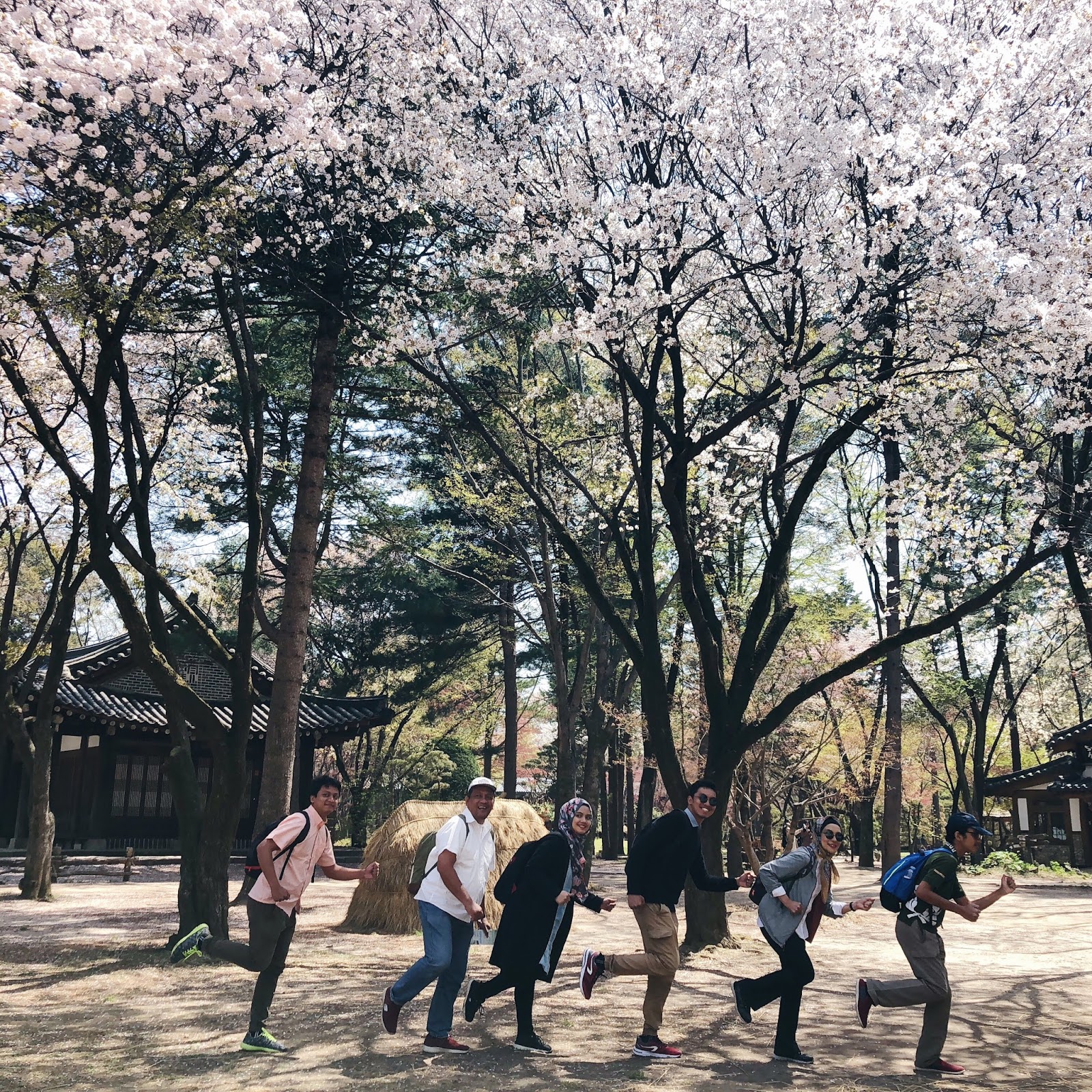 CLUELESS: Bercuti di Korea Pada Musim Bunga 13 - 20th April 2018: Day 6