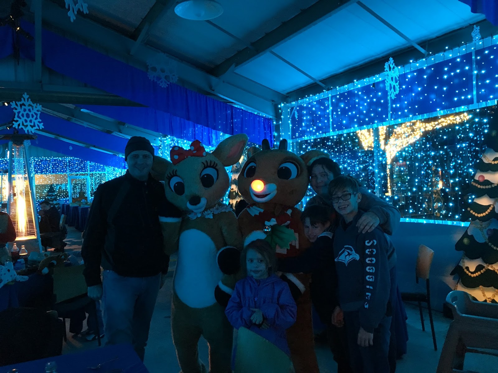 Saving for a Dream: Christmas at SeaWorld San Antonio