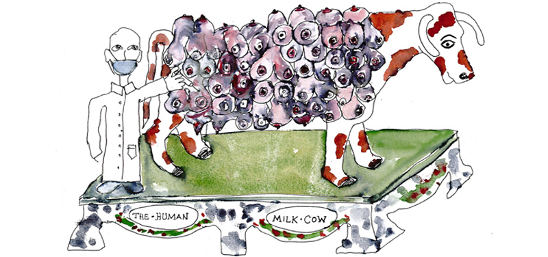 Karen Thompson: WORK IN PROGRESS - Farm World