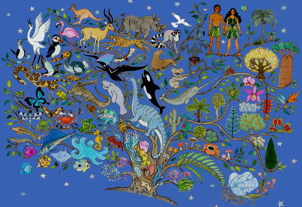 Biologia-Vida: Provas da Evolução Que Você pode Encontrar no Seu Corpo