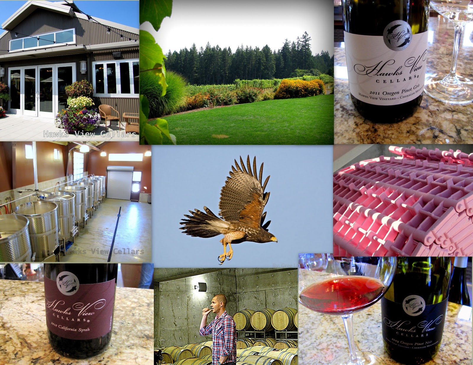 Wine of the Week: 2010 Hawks View Cellar Cabernet Sauvignon