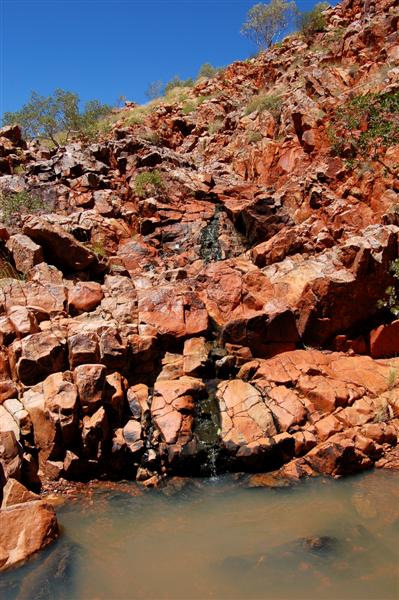 WA Zoologist: Images of the Pilbara