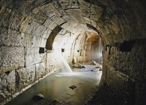 Congratulations Pine Tree: 148 - Cloaca (with Marcella Faustini and ...