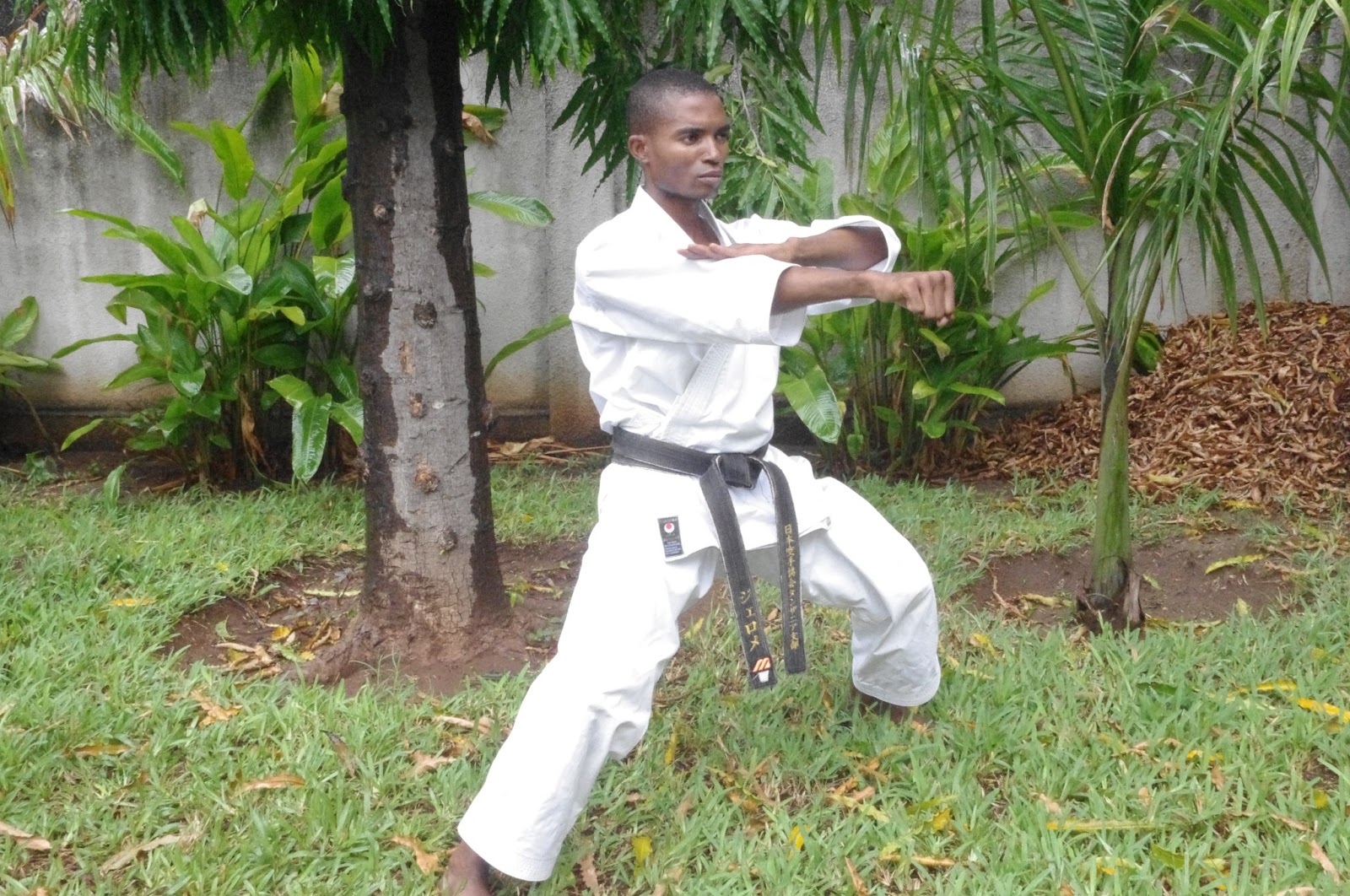 Karate Terminology - THE BLACK SAMURAI