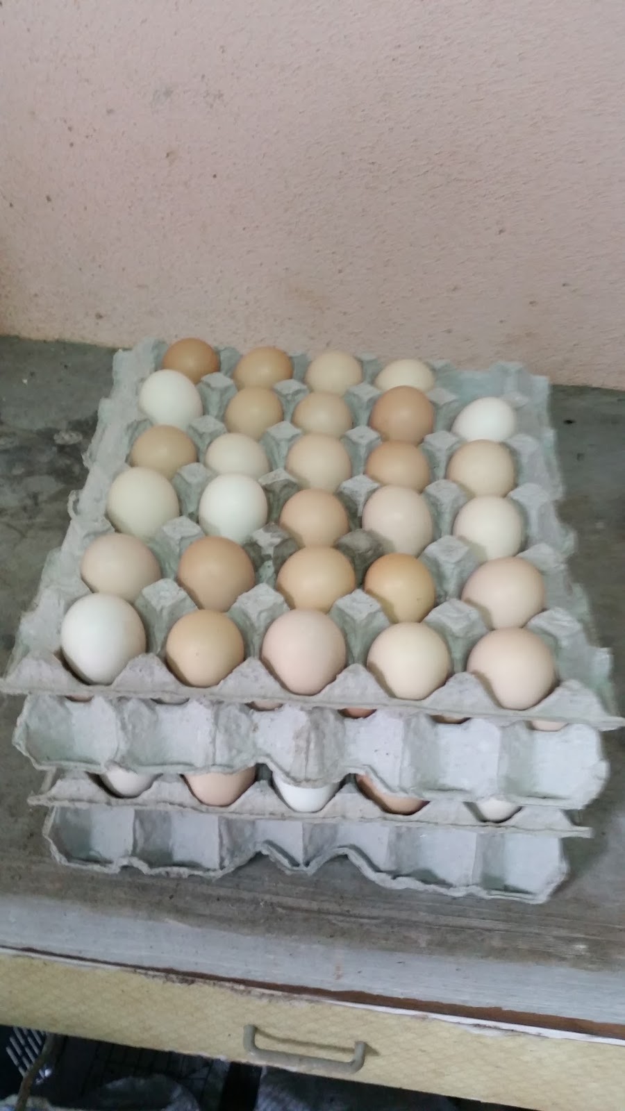 Warisan Petani: Berniaga Paskam