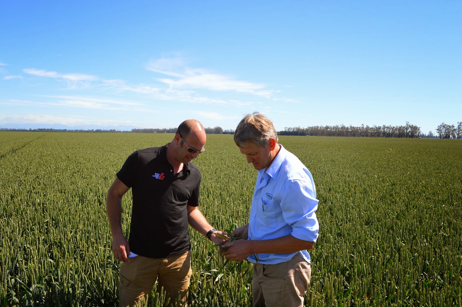 Farmer Jake: Nuffield in New Zealand Day 11 - Farms and Trials