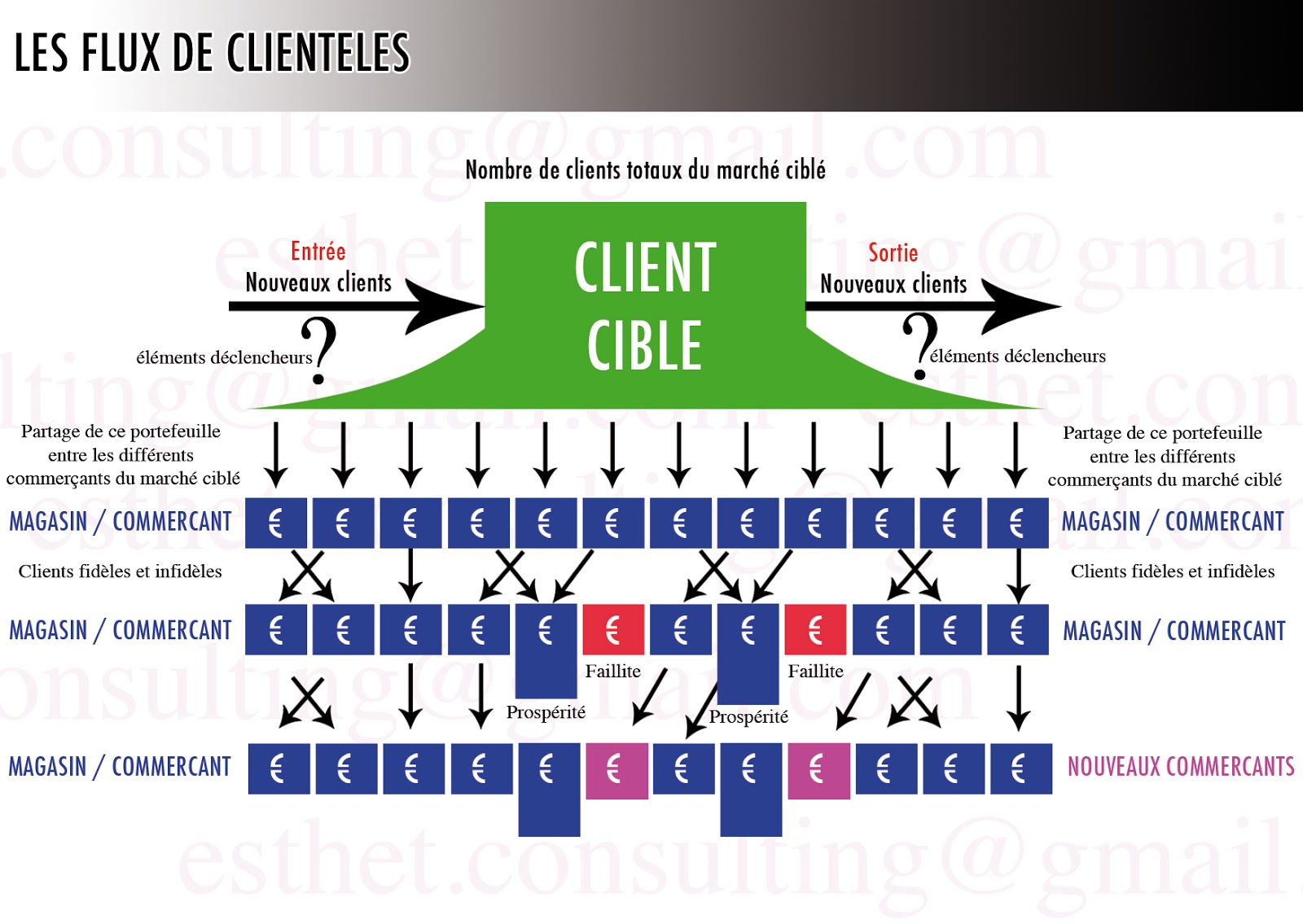 Esthet-Consulting : Les Flux de clientèles.