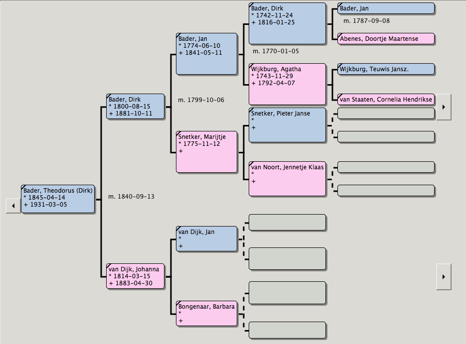 Pedigree Charts (Family Tree) for Adrianus Bader (1874) and Theodorus ...