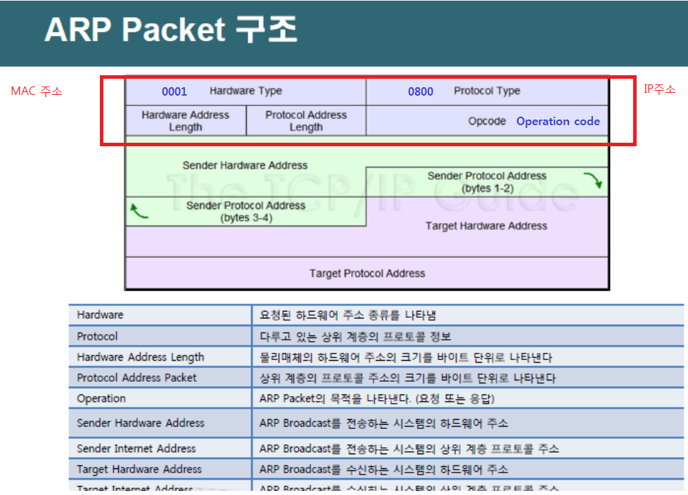 IT 네트워크 기초 학습: OSI 7 Layer # 3계층 네트워크 ARP,IP,ICMP