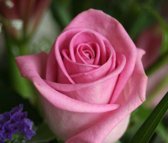 Ashley's Designs: Tutorial (Adding Alien Skin Xenofex 2 Constellation)