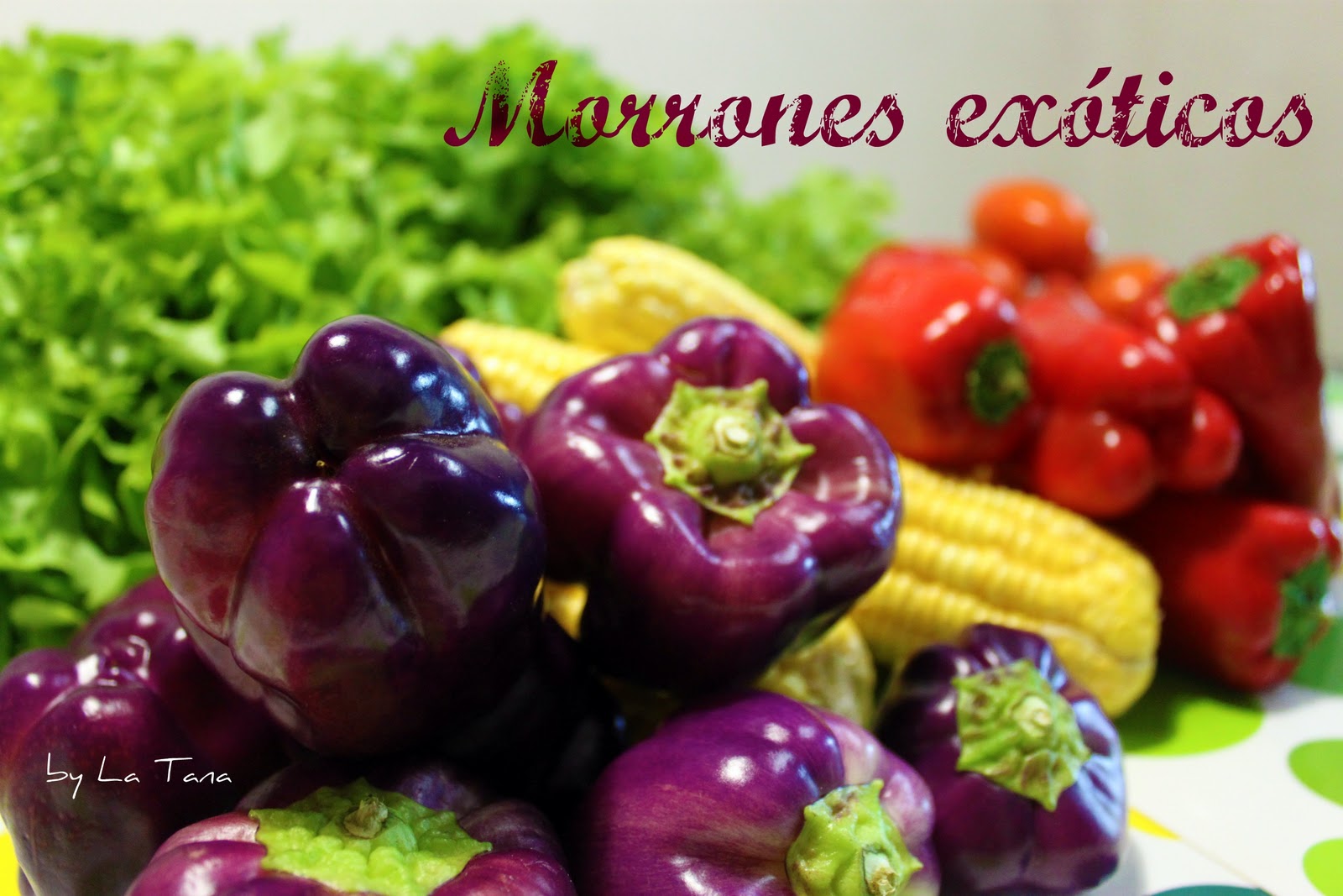 La Mia Cucina: Delicias de la Tana: enero 2012