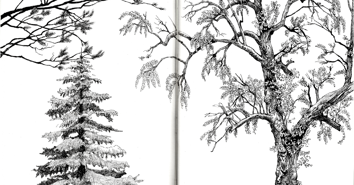 Sketchpot: Old Black Tree