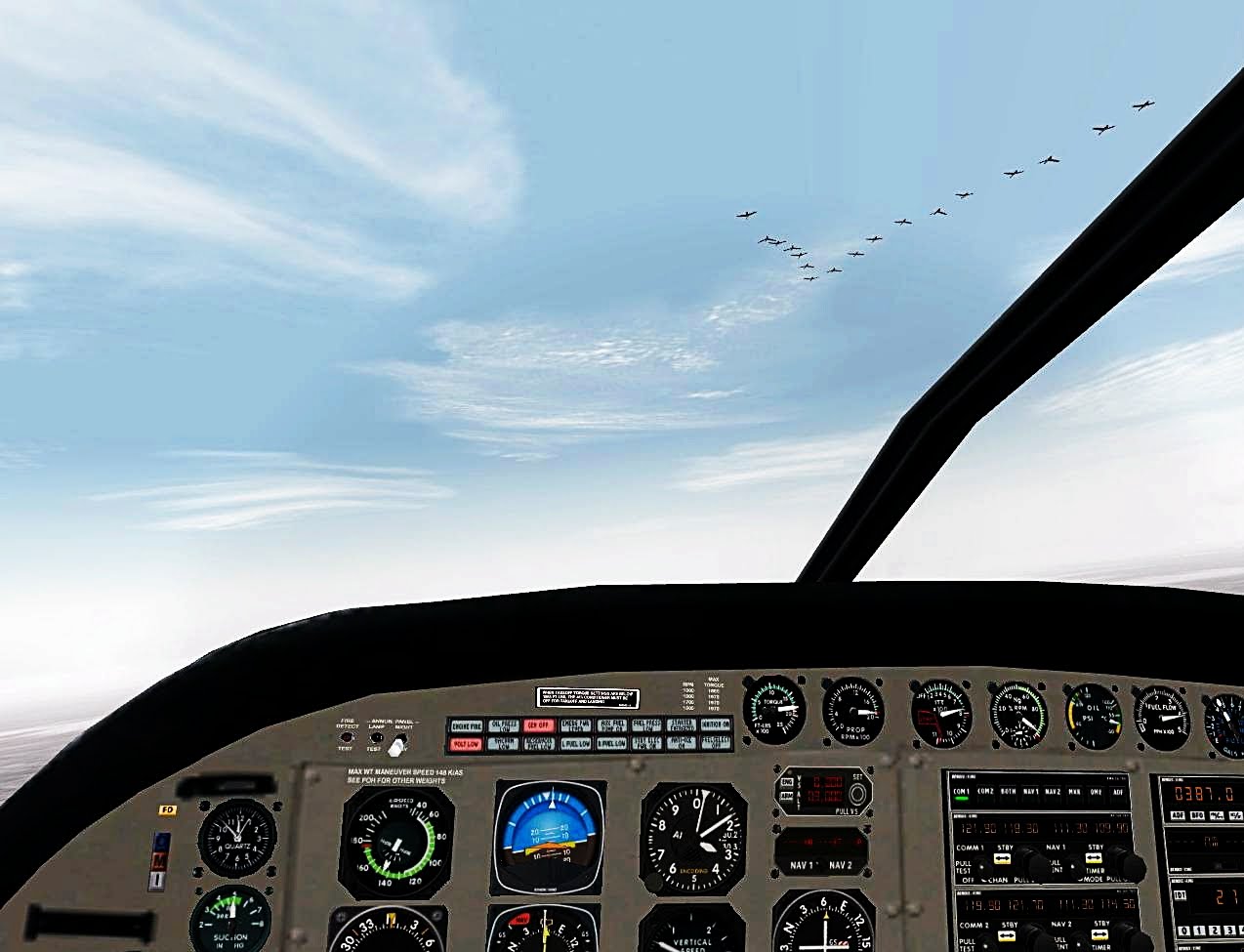 FS Brazuka: Pássaros no fs9