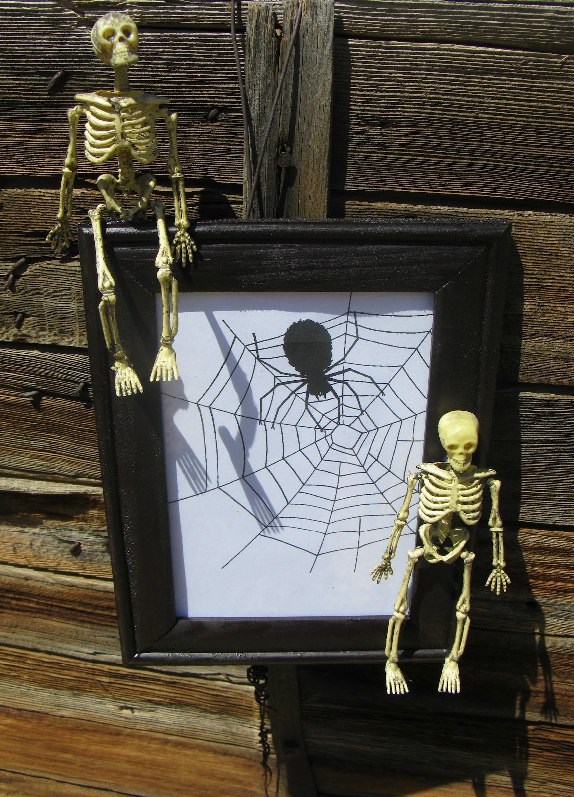 Skeleton Frame | I Gotta Try That...