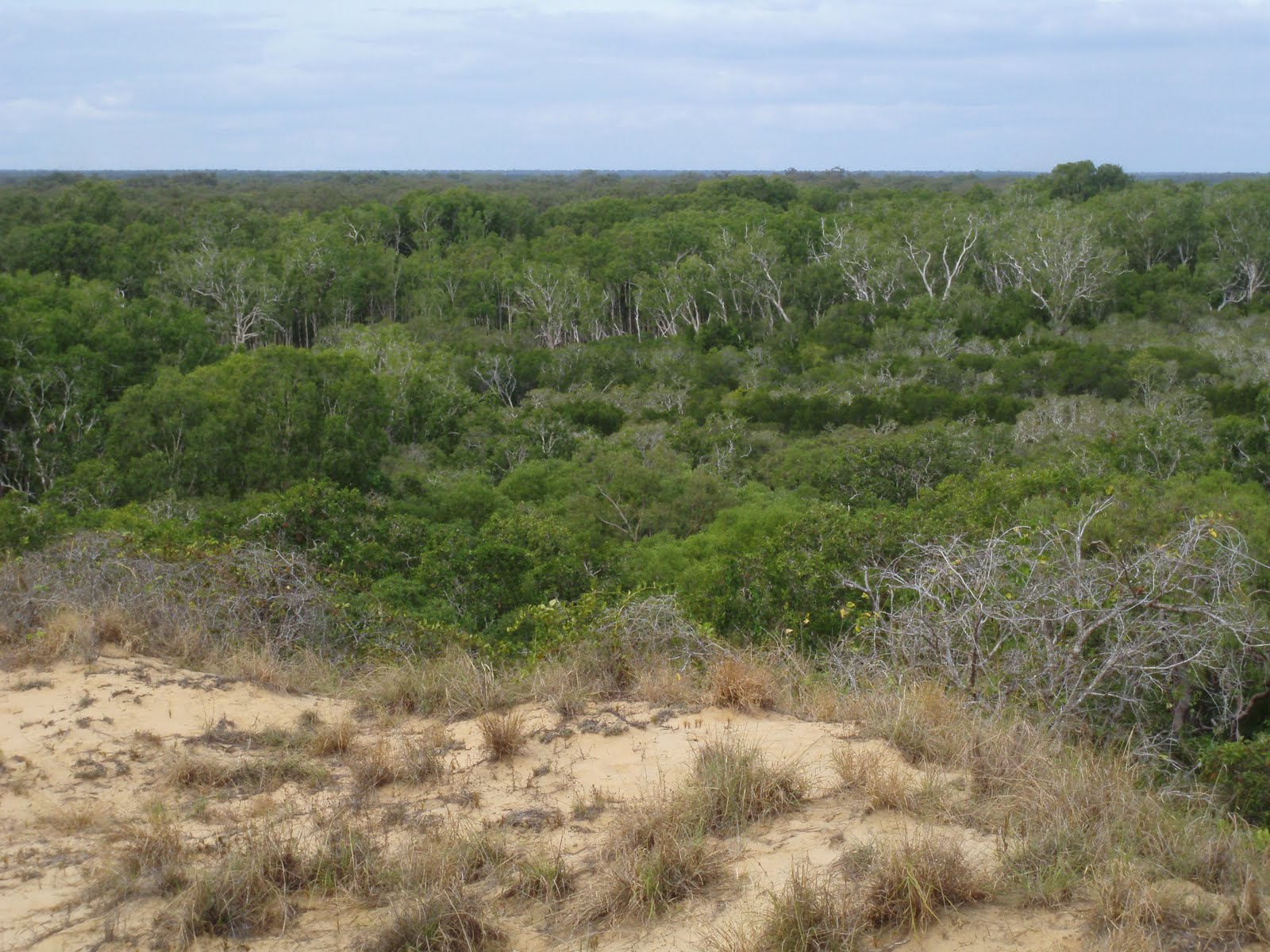 Sailing North: Port Musgrave to Weipa