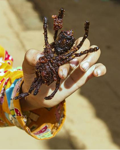 KI Media: Crunchy critters are tasty traveler's treat