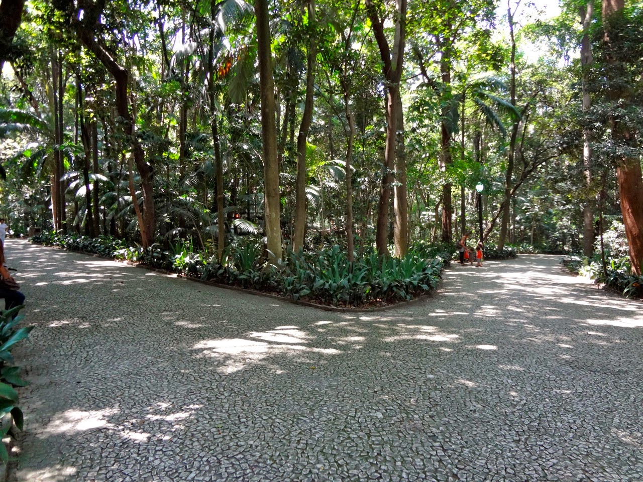 Parque Trianon ou Tenente Siqueira Campos em São Paulo ~ Áreas Verdes ...