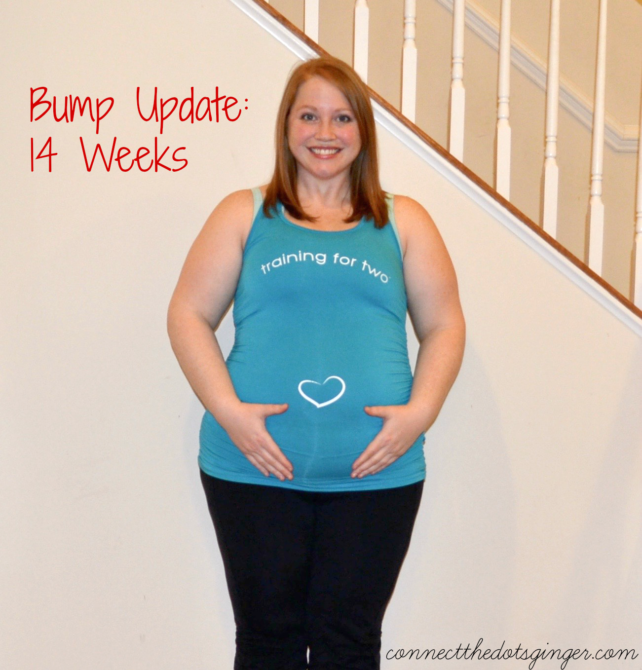 Connect the Dots Ginger | Becky Allen: Bump Update: 14 Weeks