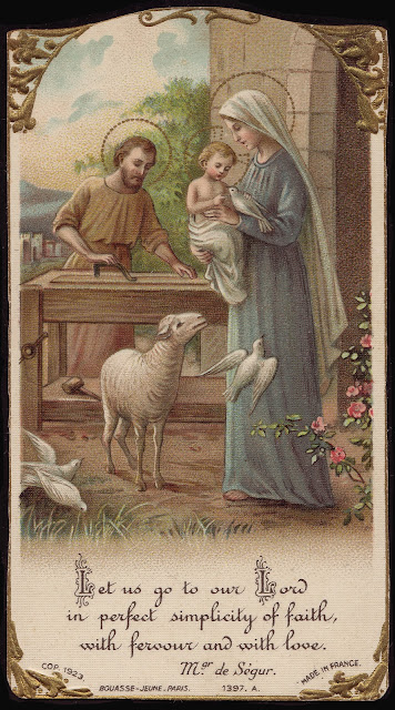 Mary's Meadow: May 2011