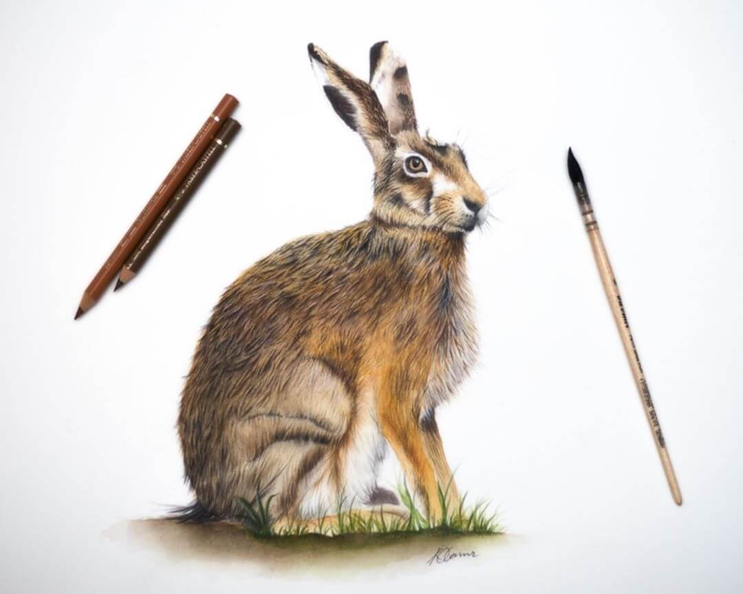 Design Stack: A Blog about Art, Design and Architecture: Animal ...