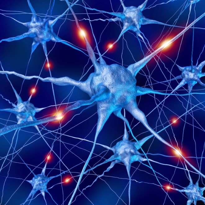 Ancient Cosmic Knowledge: Neurons and Frequency