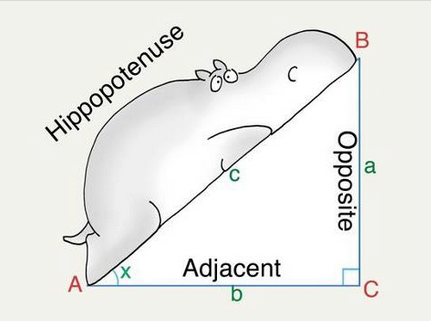 Louis' Education Blog: hippopotenuse