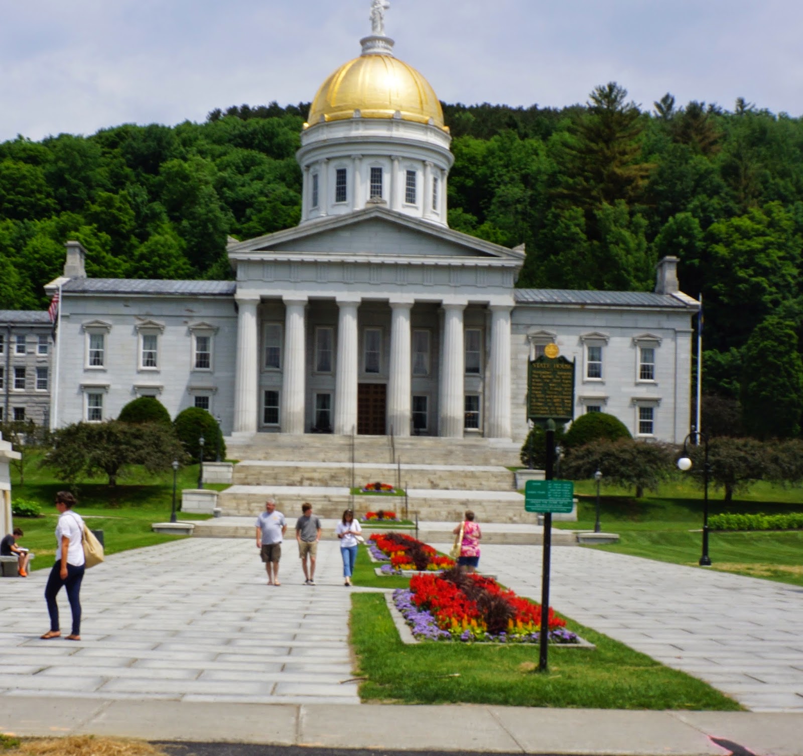 Buddy's Big Adventure: June 2014