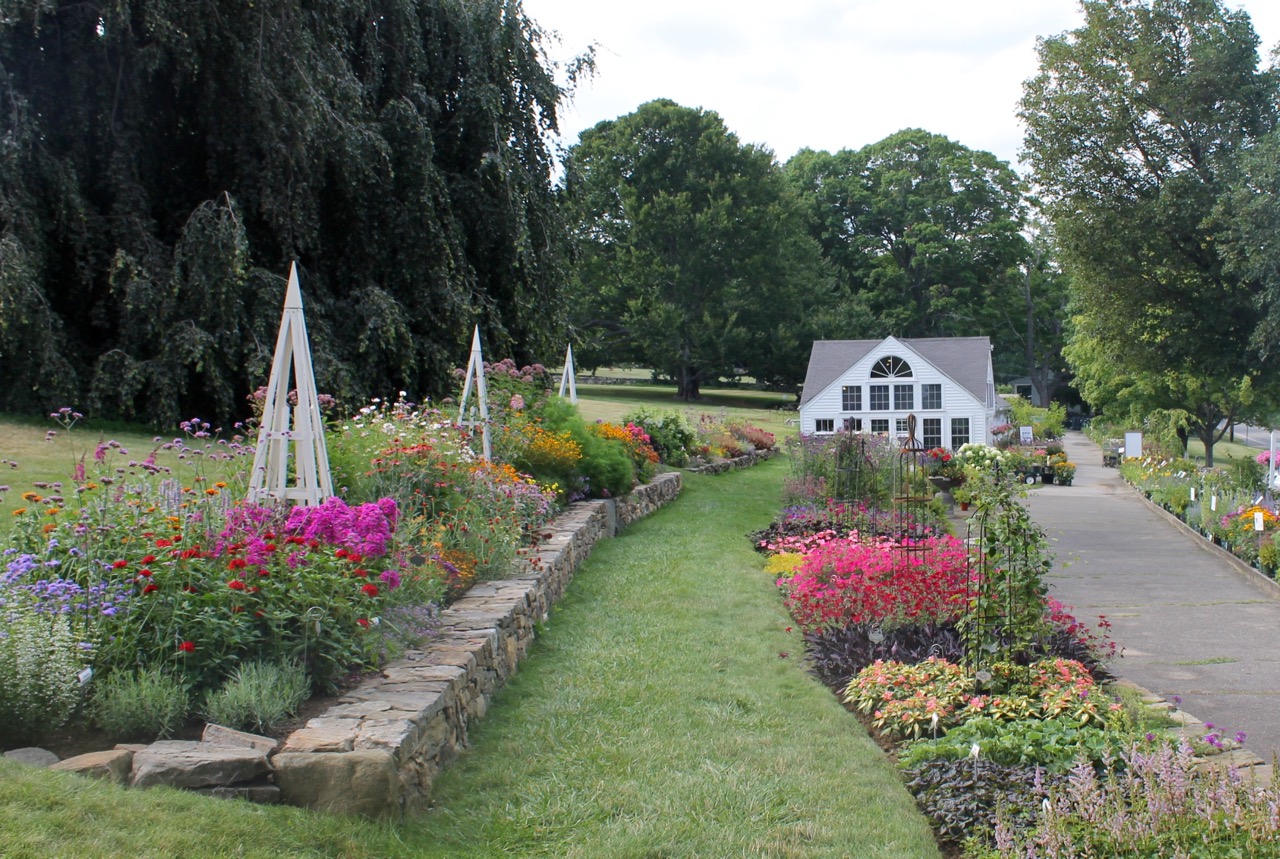 Pam's English Cottage Garden: A Visit to White Flower Farm