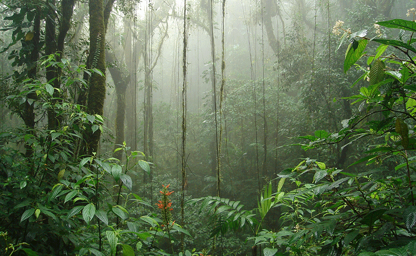 Alturas Climas y Régimen de Lluvias de la República Dominicana