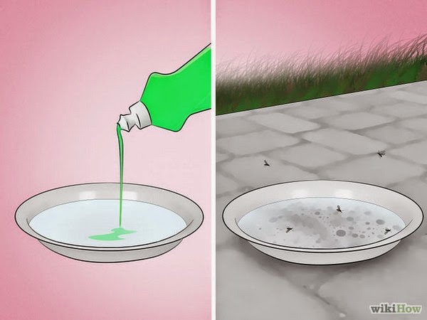 8 ΕΥΚΟΛΑ TIPS ΓΙΑ ΝΑ ΔΙΩΞΕΤΕ ΜΑΚΡΙΑ ΤΑ ΚΟΥΝΟΥΠΙΑ ΚΑΙ ΑΛΛΑ ΕΝΟΧΛΗΤΙΚΑ ...