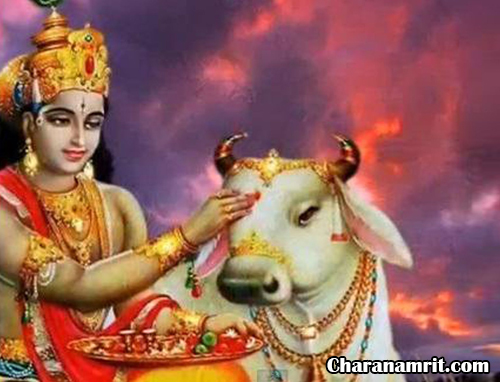 Charanamrit: Bahula Chauth 2016, Bol Chauth 2016 Hindu Festival