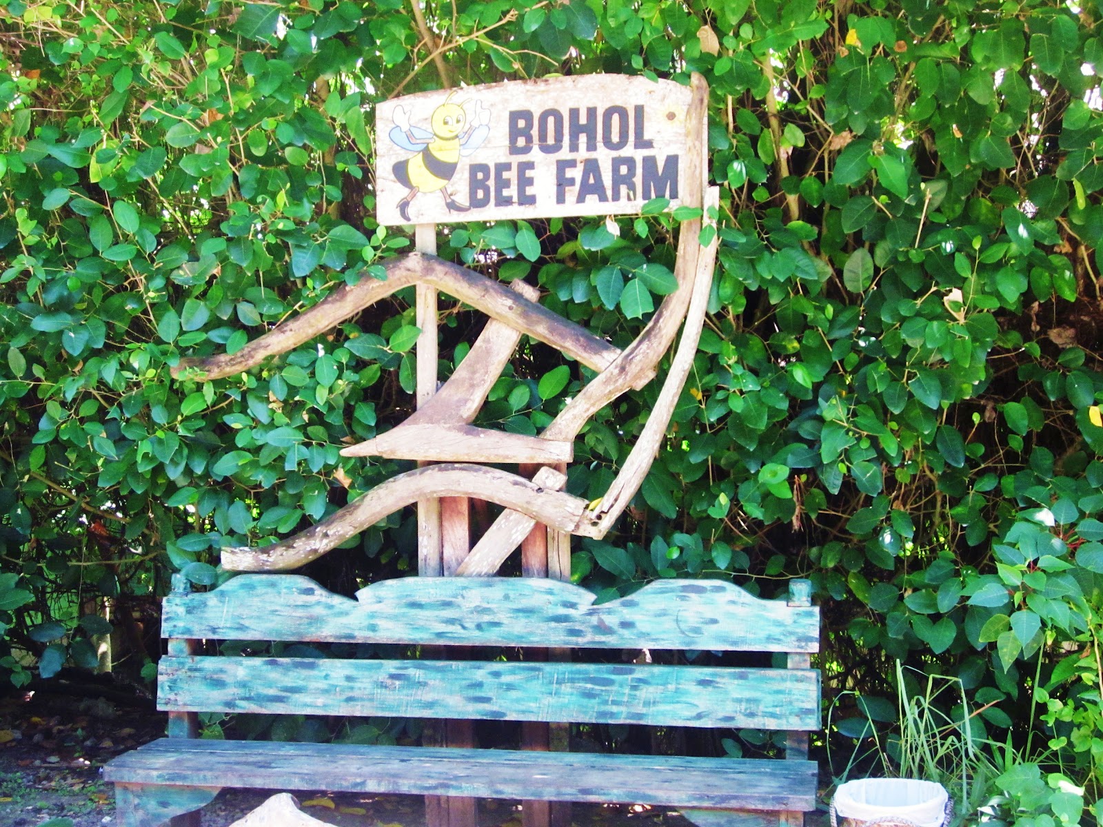 the traveller & her thoughts: BOHOL BEE FARM
