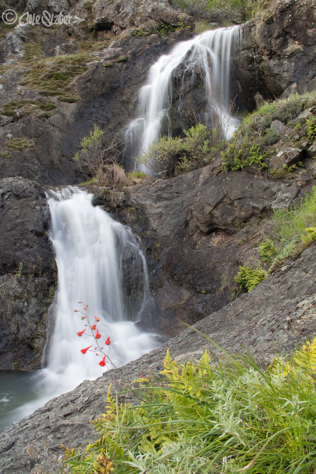 Cole's Trail Tales: Carson Falls - Marin Waterfall Hike - 4/2/12