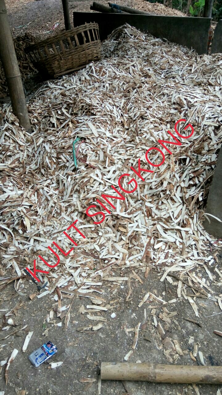 Jual Kulit singkong,Singkong sortir dan bonggol (pongkol) singkong ...
