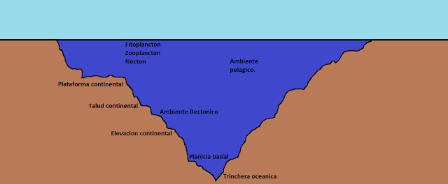 Analisis Biologicos Del Agua: Necton