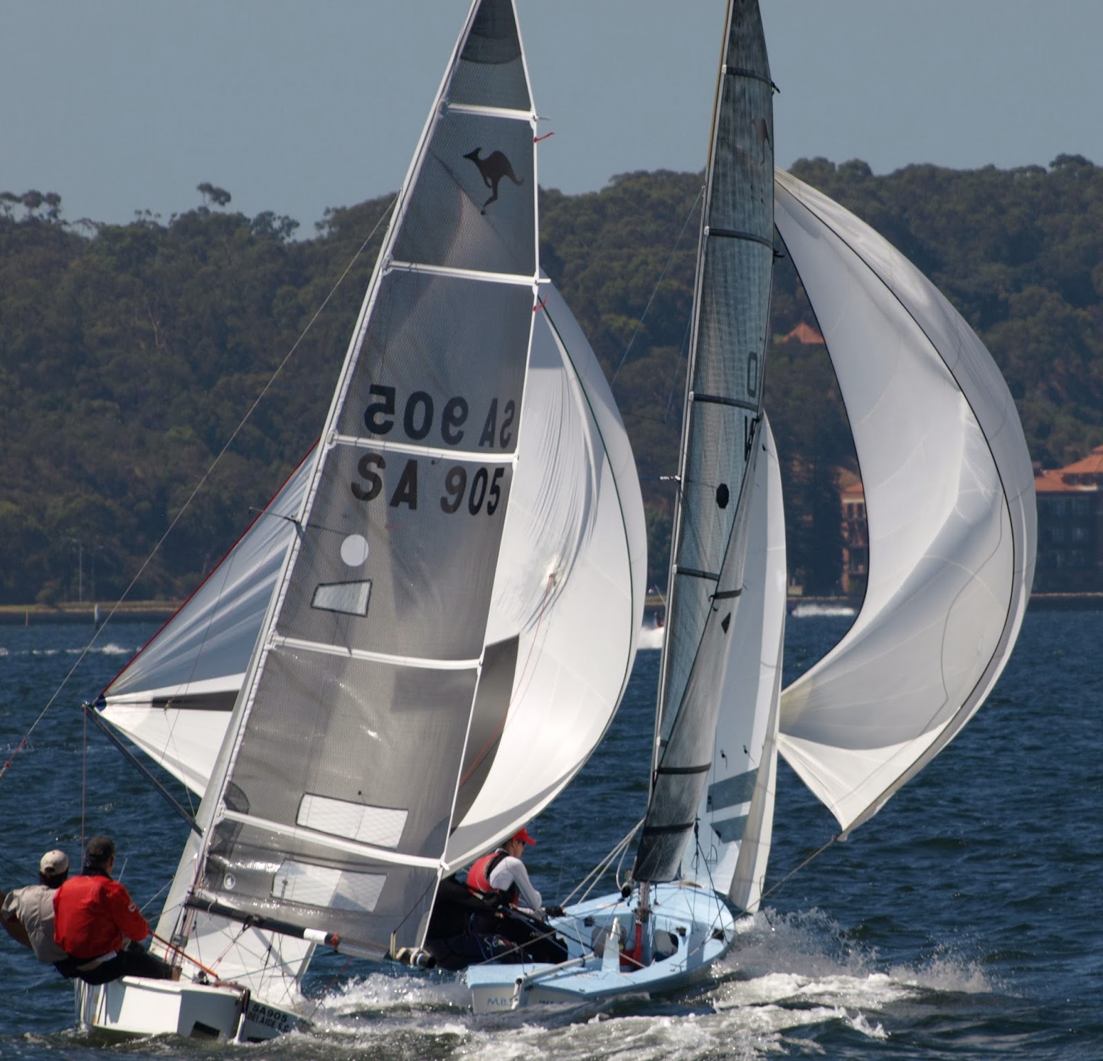 Observations in an undemocratic world: Australian Lightweight Sharpie ...