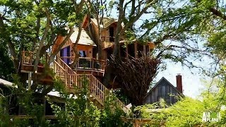 Tree House Design Form of the Bird's Nest - Decorating and Home Design