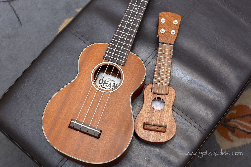 Andy's Ukuleles Nano - REVIEW