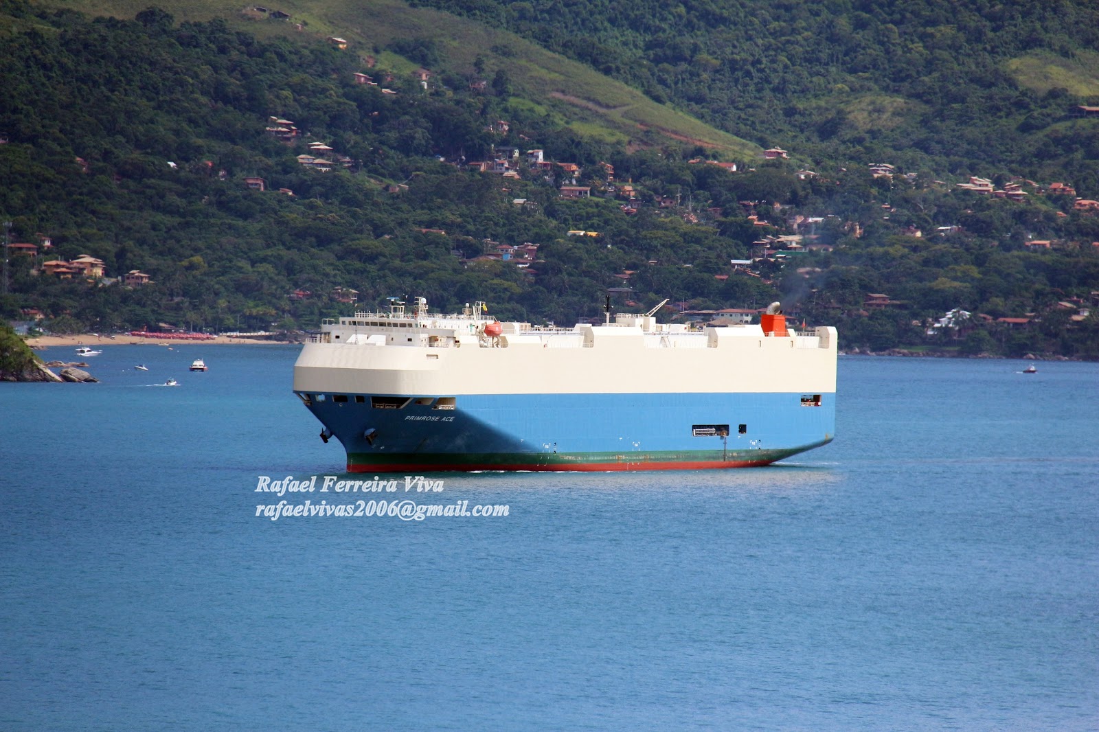 Navios em Santos: Primrose Ace