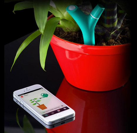 Sensor tanaman; Parrot Flower Power - Boku no Blog