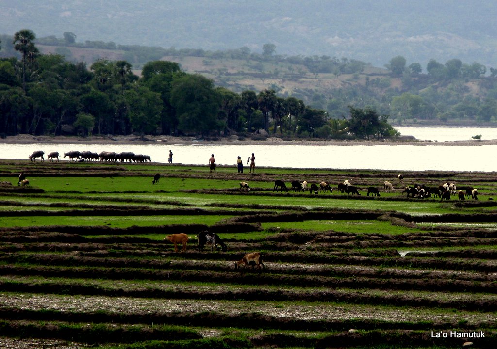 La'o Hamutuk: Is the Tibar container port what Timor-Leste really needs?