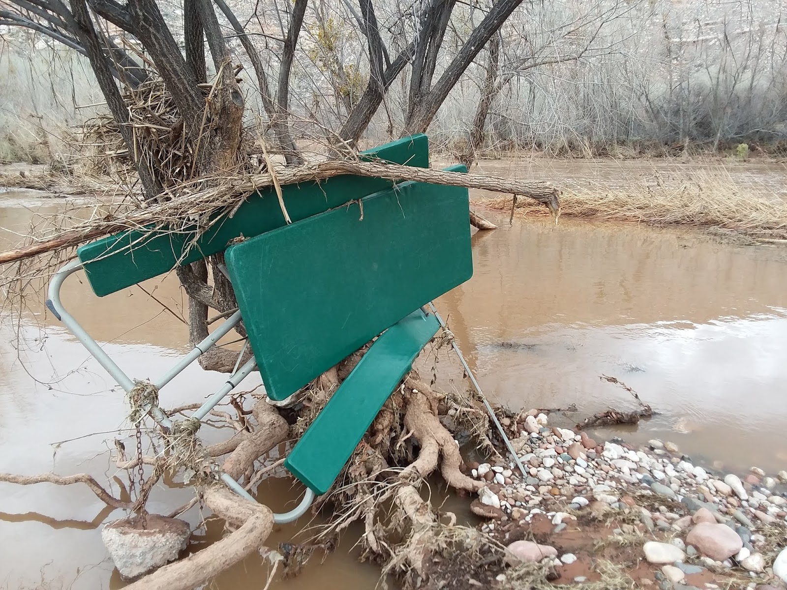 Parsons Preserve: Preliminary Design Commentary #1