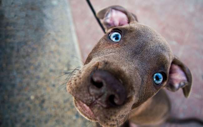 IT BLOG: 5 Jenis Angle Dalam Fotografi