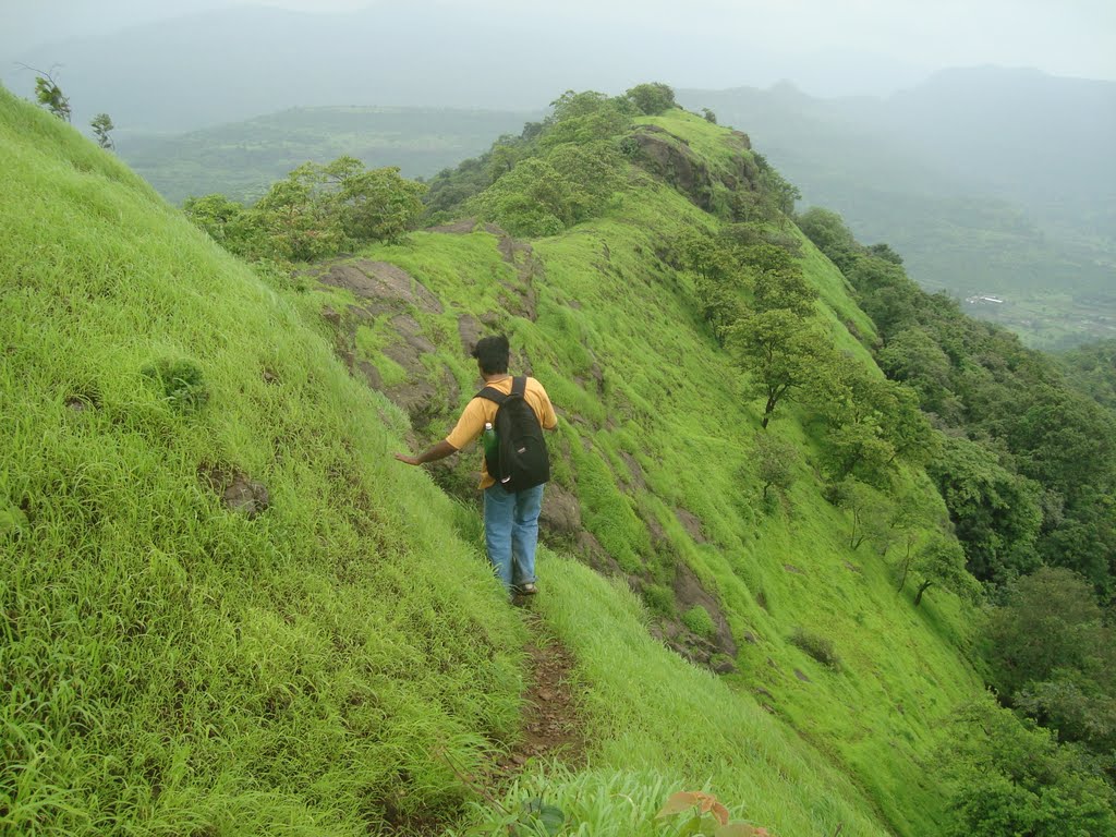 Trekking In Maharashtra: Songiri Fort a.k.a Palasdari Fort (किल्ले ...