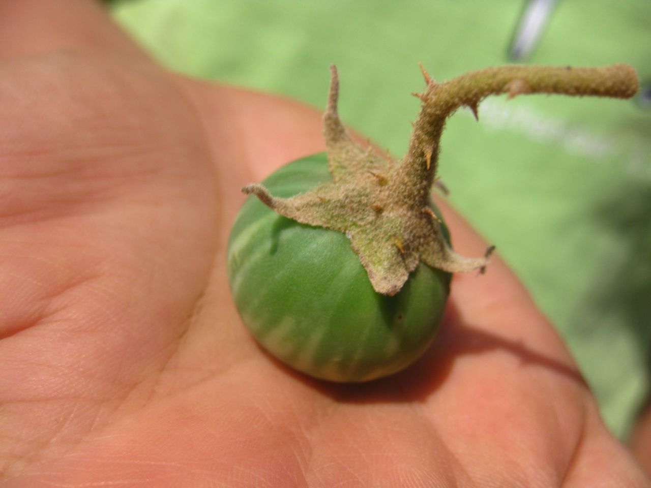 Project Journal: Internet at Orkeeswa: Interesting