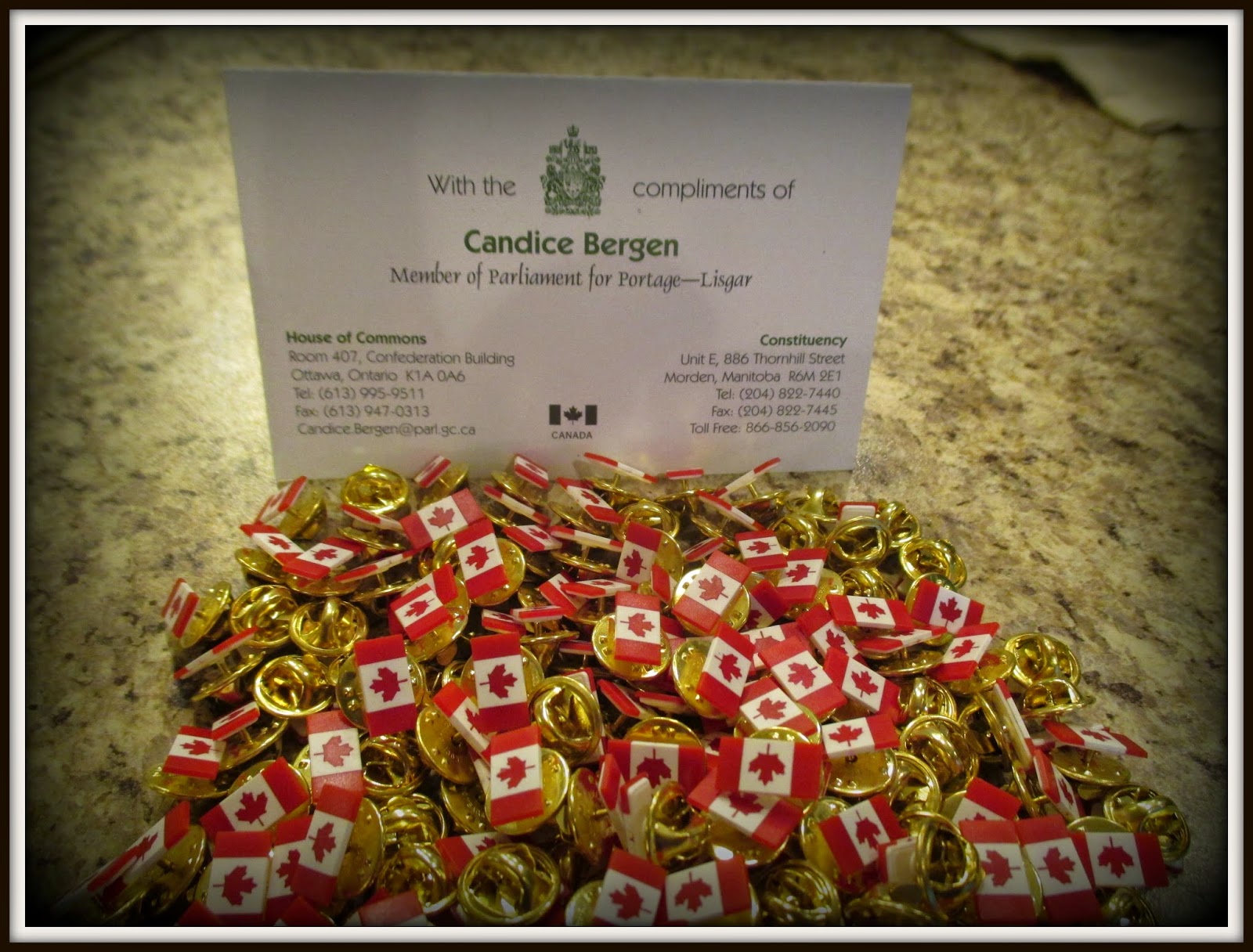 Packing Boxes of Love: Canadian Flag Lapel Pins