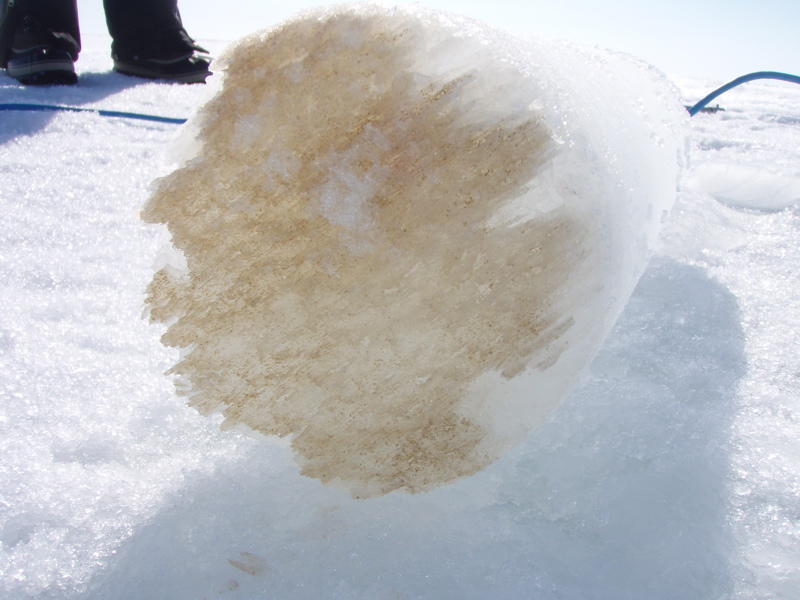 Arctic Sea Ice Adventures