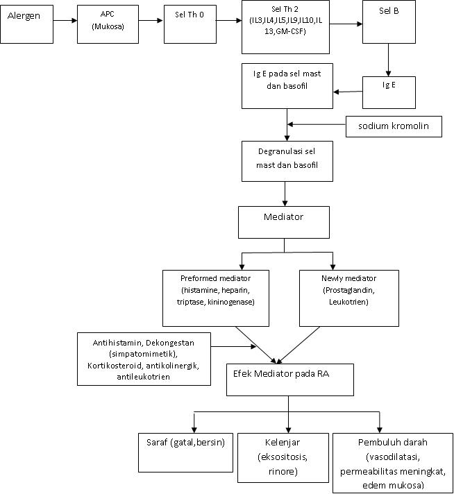 PharmaCare: Rhinitis Alergi